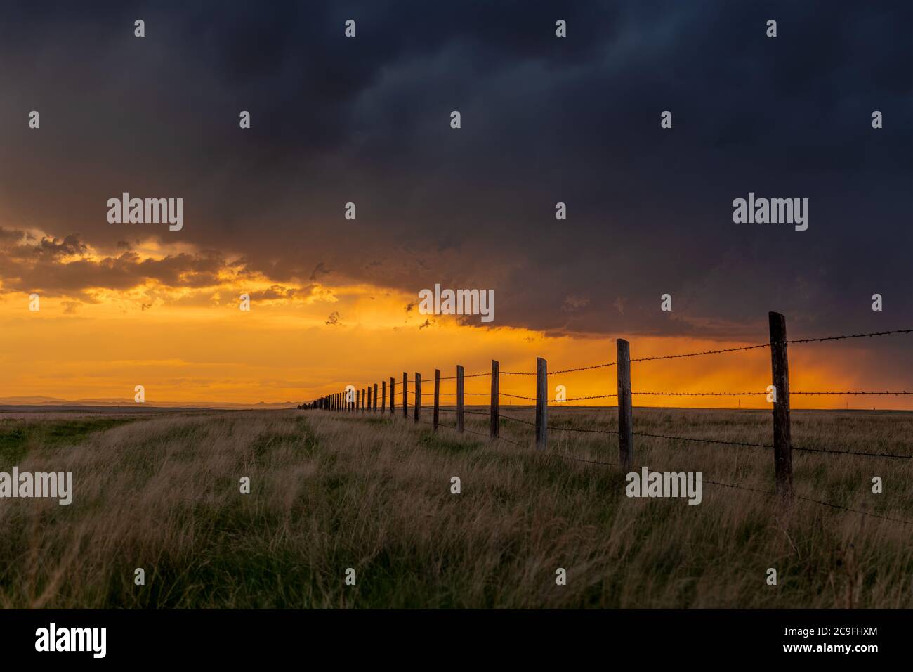 A beautiful sunset in rural Midwest farmland highlighted by barbed wire ...