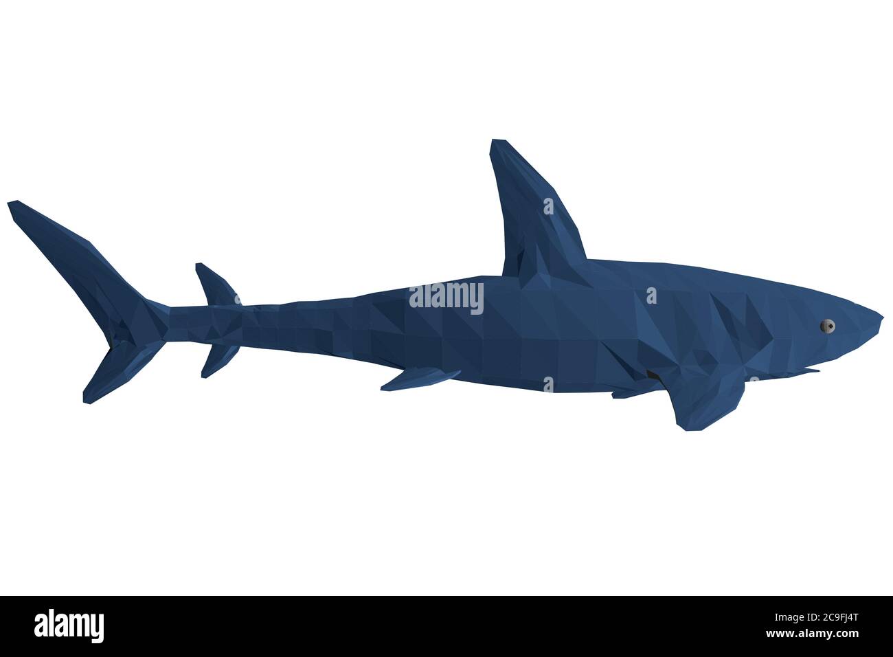 Polygon Shark Vector High Resolution Stock Photography and Images - Alamy