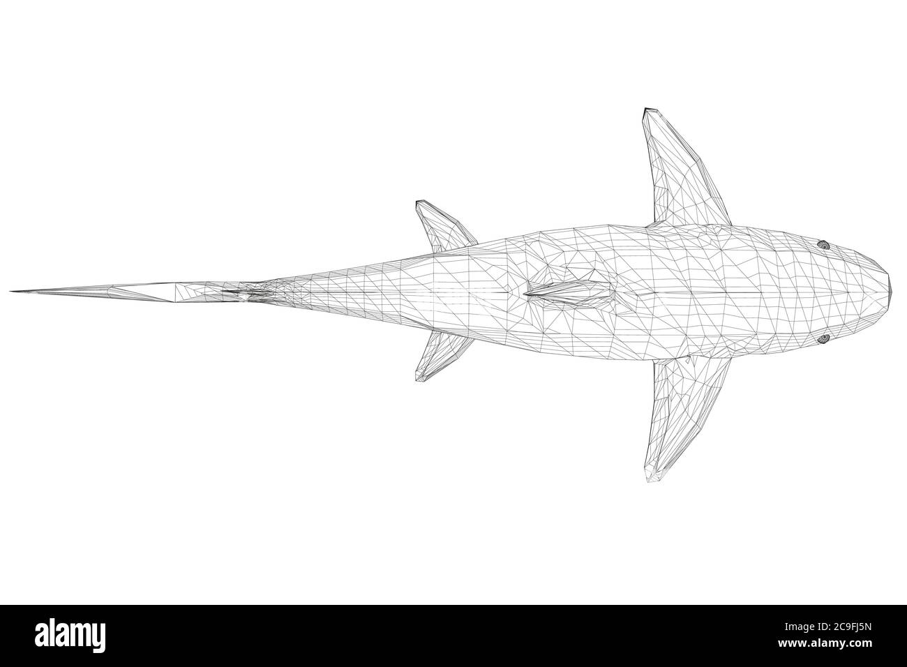 Wireframe low poly blue shark. 3D. View from above. Vector illustration ...