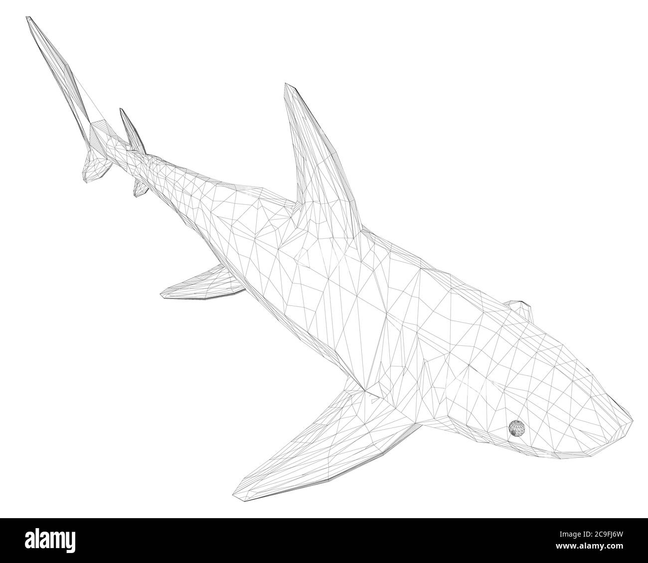 Wireframe low poly blue shark. 3D. Isometric view. Vector illustration ...