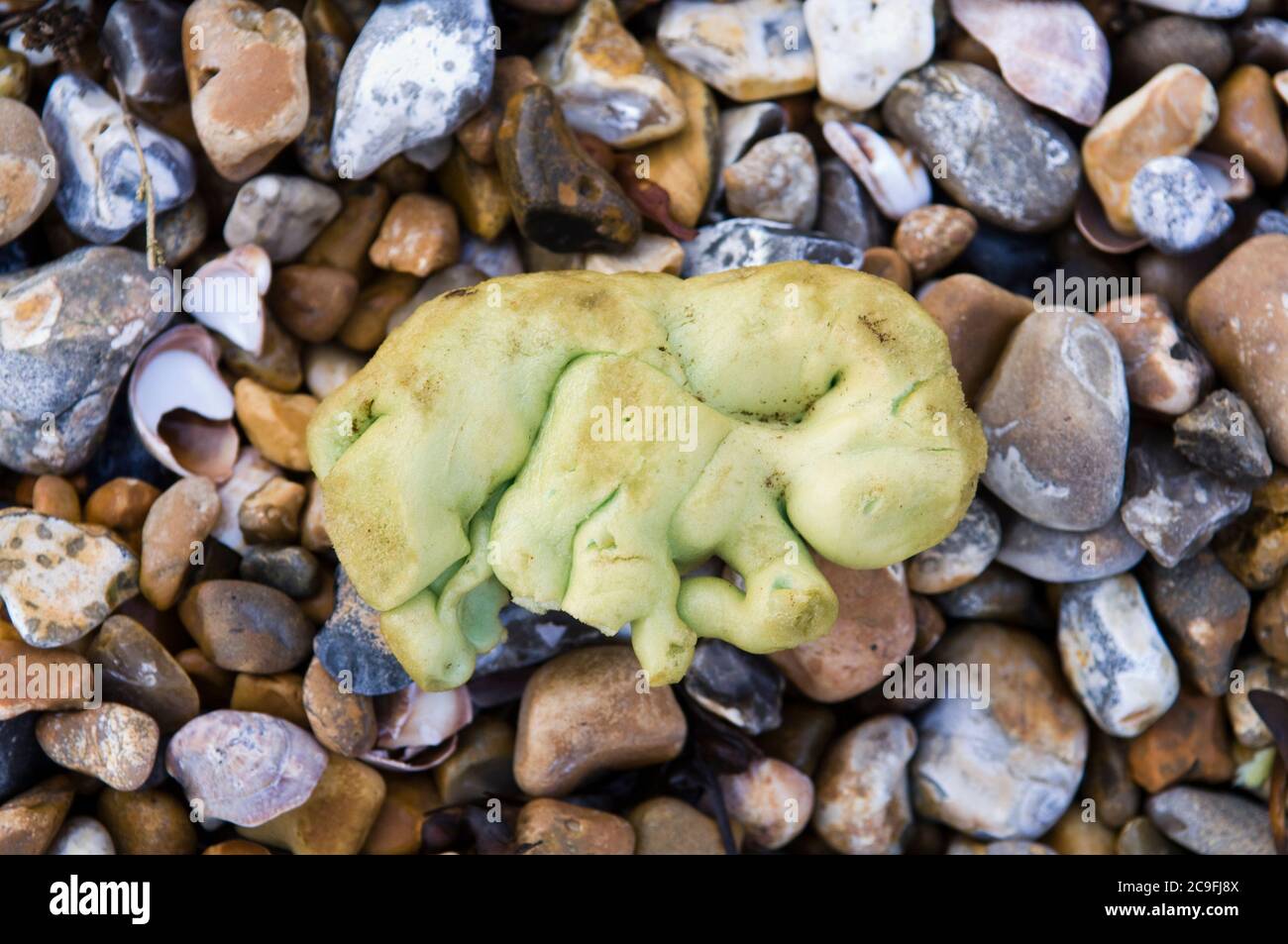 Rubbish, litter, on a pebbled beach Stock Photo - Alamy