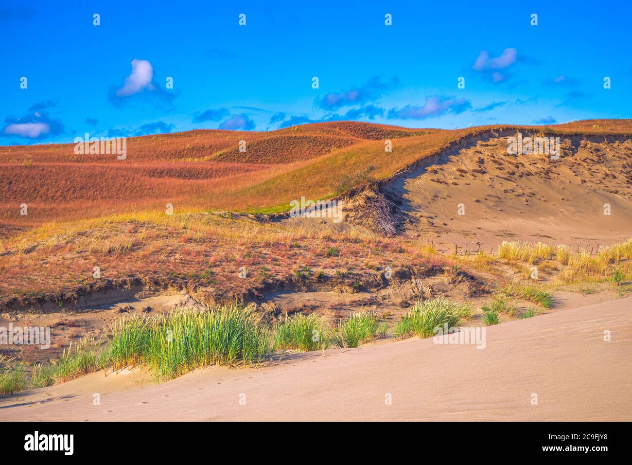 Beautiful Grey Dunes, Dead Dunes at the Curonian Spit in Nida, Neringa ...
