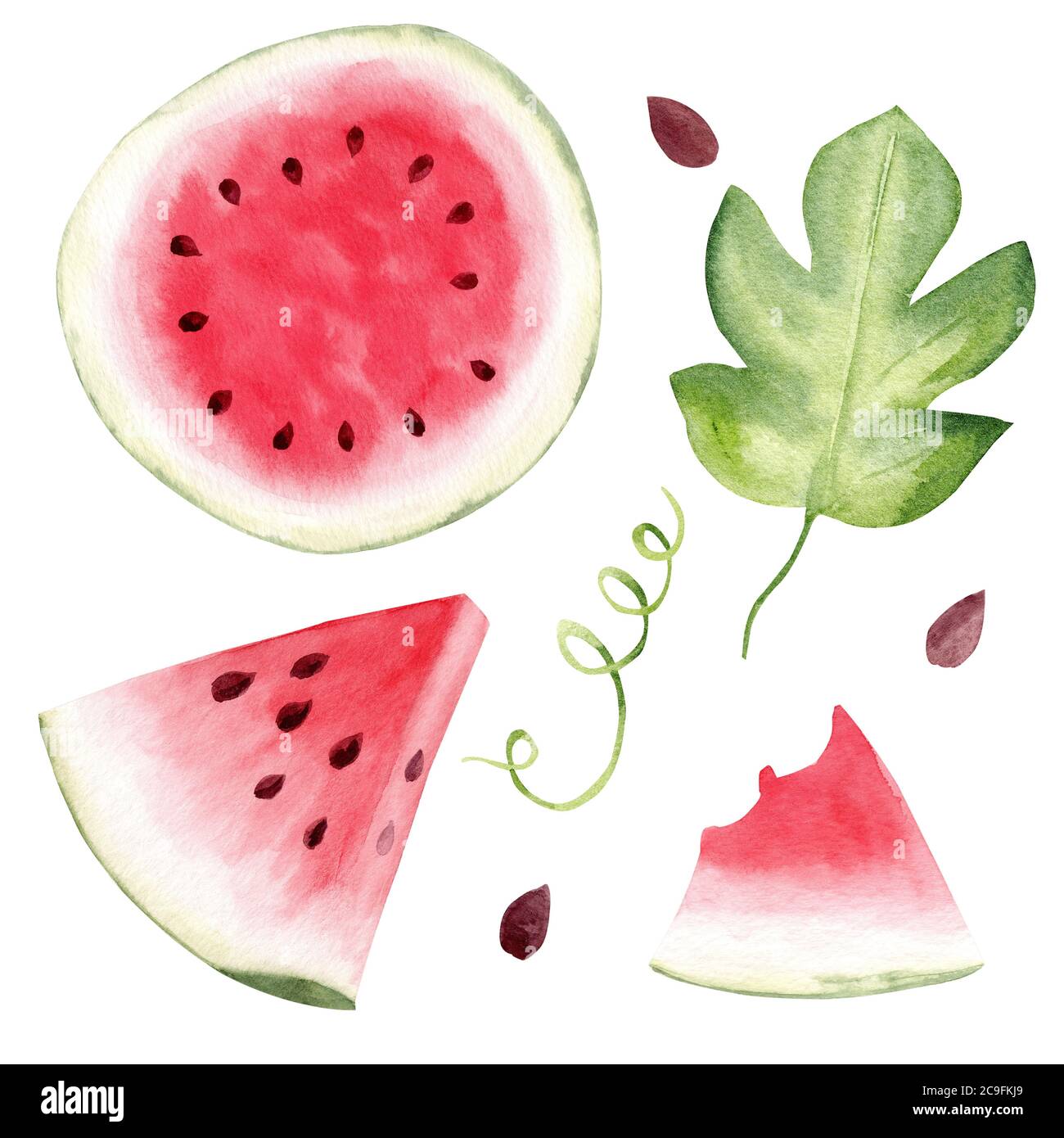 Watermelon Fruit Clipart