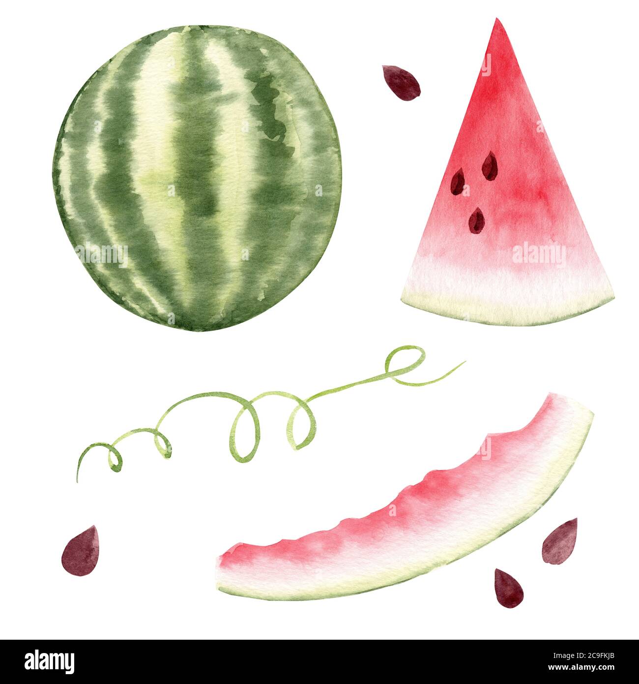 Set of watermelon clipart. Fresh summer watercolor illustration ...