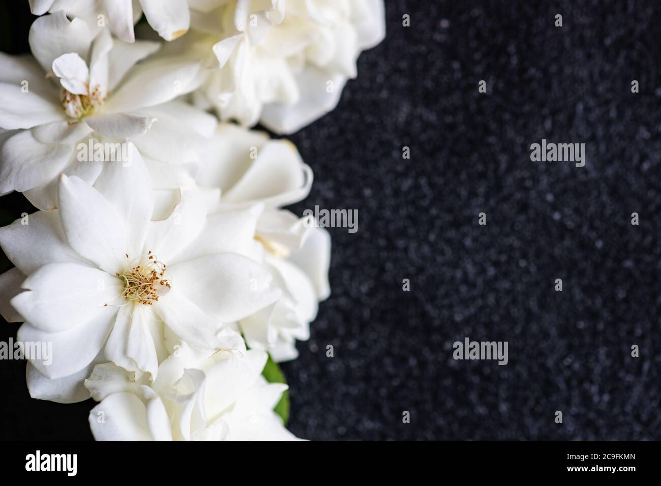 White stone rose copy hi-res stock photography and images - Alamy