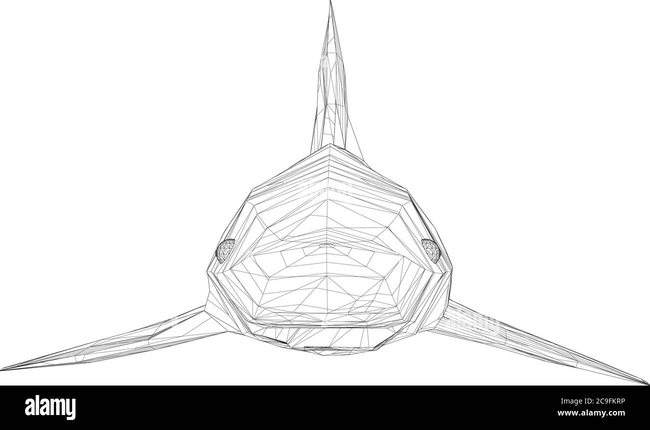 Wireframe low poly blue shark. 3D. Front view. Vector illustration ...