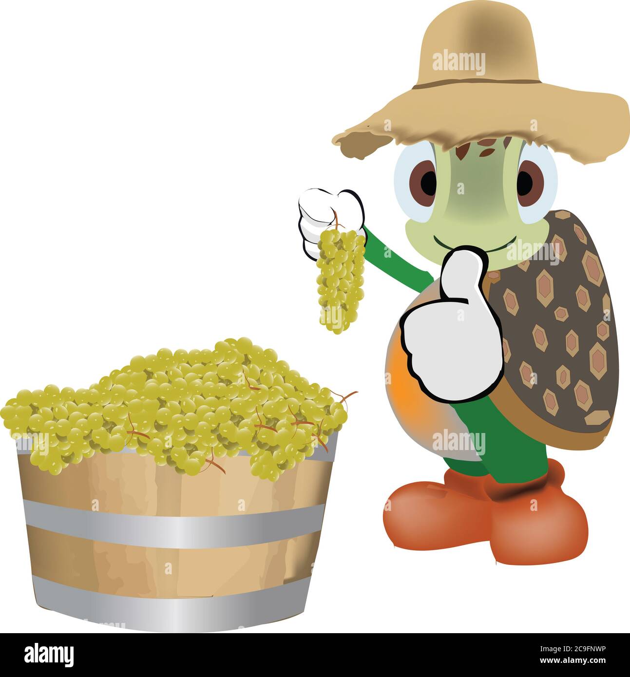 Illustration of a cute turtle holding a bunch of white grape and ...