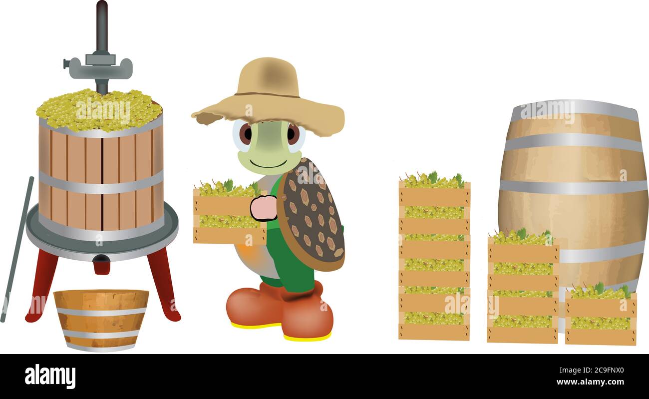 Illustration of a cute turtle making wine from white grape Stock Photo ...