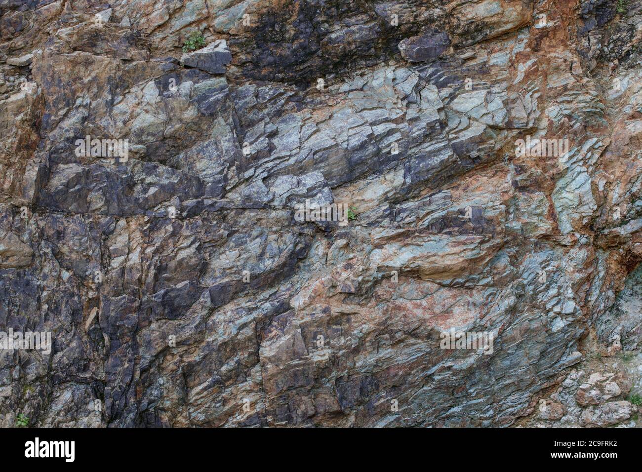 The rock texture is gray, blue, brown and black. There are small ...