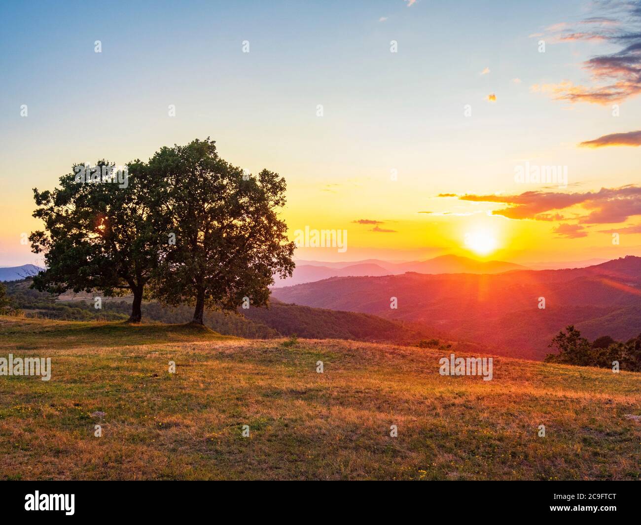 Idyllic tree hi-res stock photography and images - Alamy
