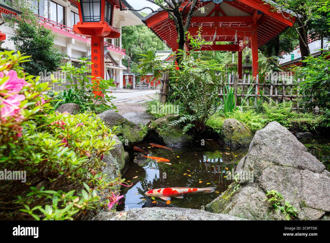 Japanese Koi Garden