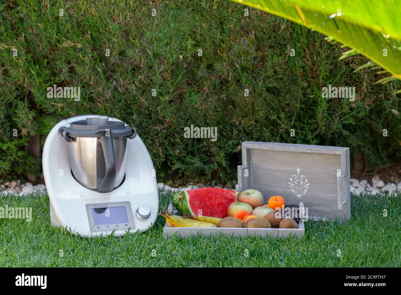 Kitchen robot in a garden with fresh fruits Stock Photo - Alamy
