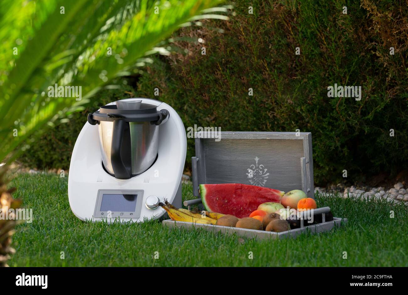 Kitchen robot in a garden with fresh fruits Stock Photo - Alamy