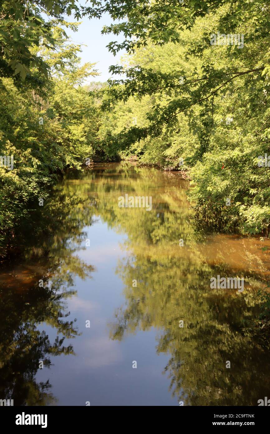 The scenic stream on a summer afternoon Stock Photo - Alamy