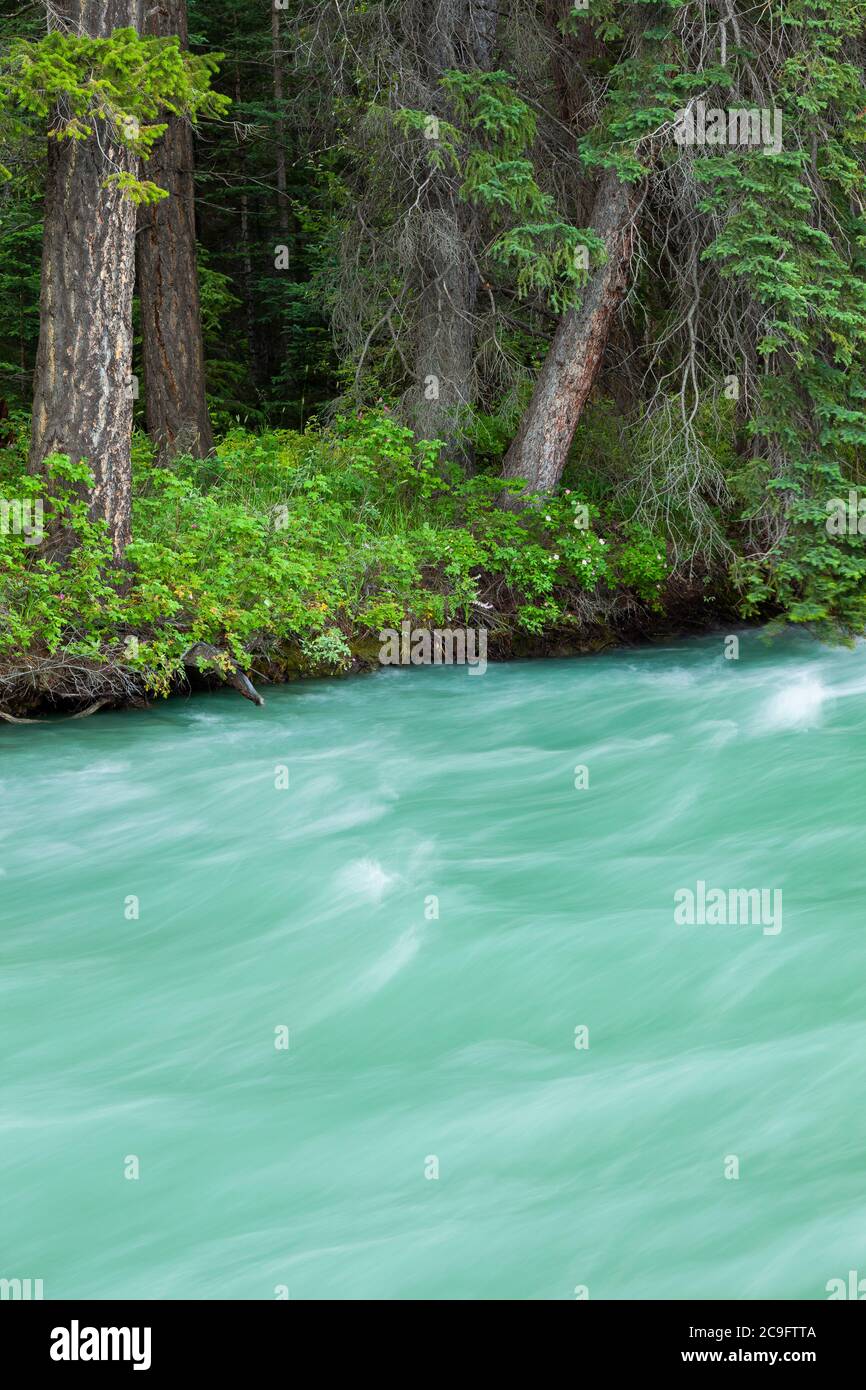 Maligne River, Jasper, Alberta Stock Photo - Alamy