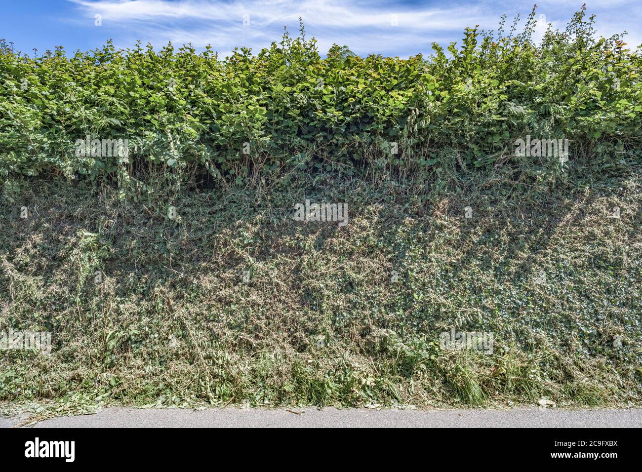 Flailing hedges hi-res stock photography and images - Alamy