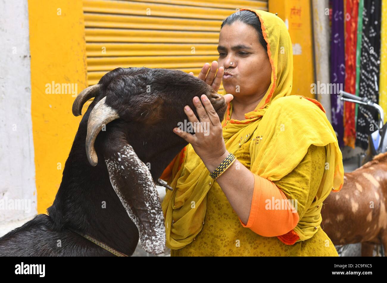 Beawar, Rajasthan, India, July 31, 2020: Muslim woman kisses her goat ...
