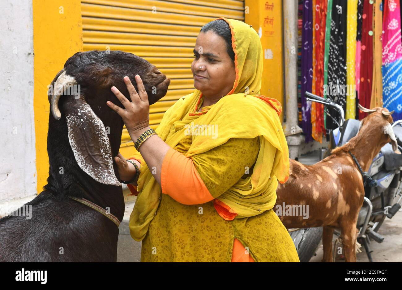 Goat lovers hi-res stock photography and images - Alamy