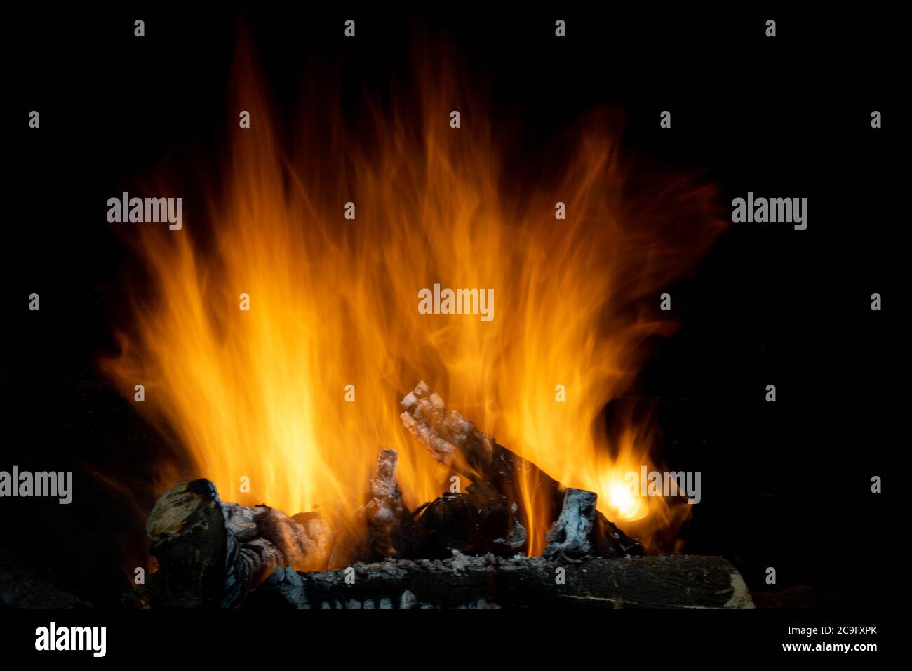 Flames in different forms of a bonfire made with orange tree trunks in ...