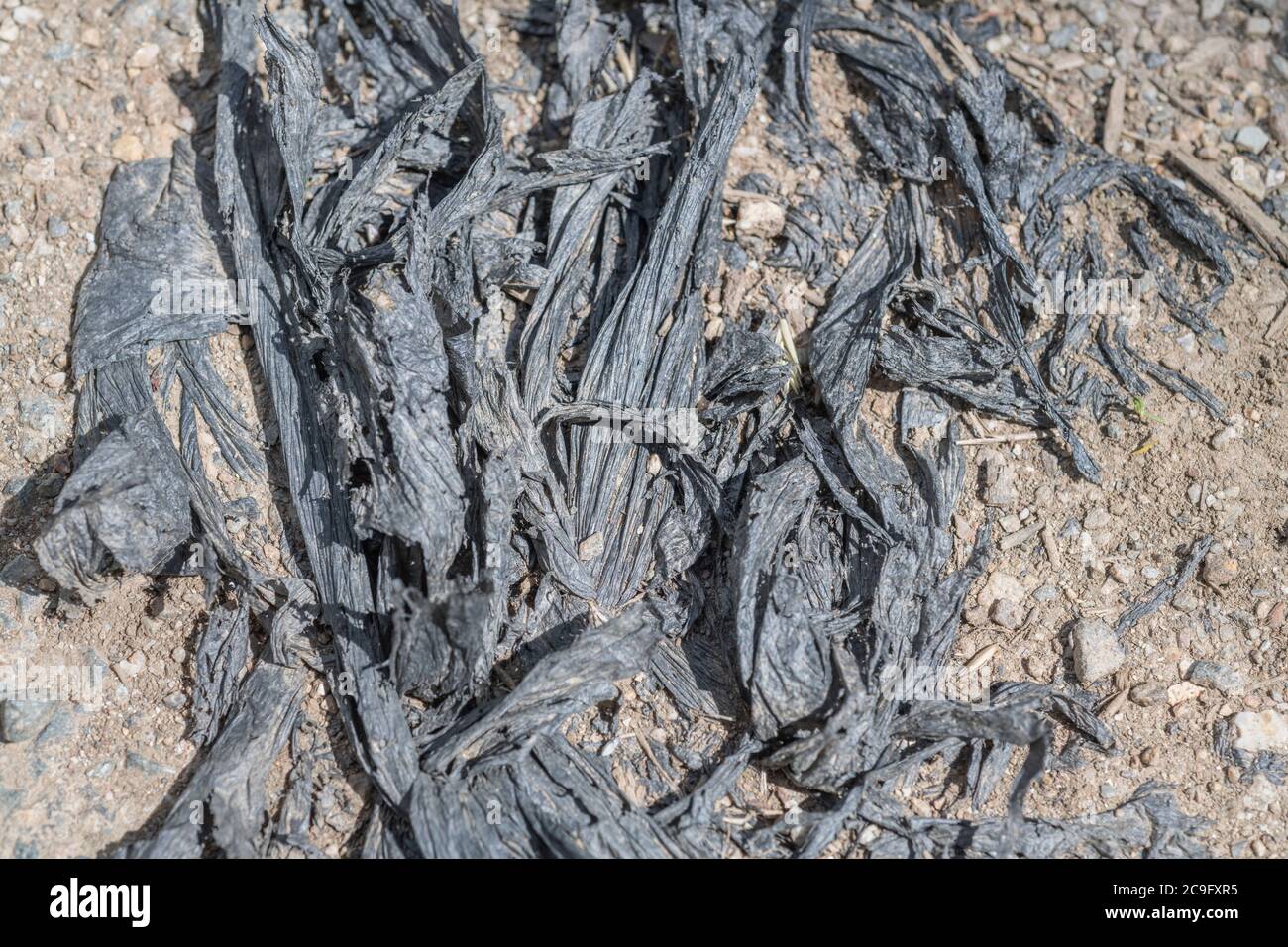 Waste bale wrap hi-res stock photography and images - Alamy