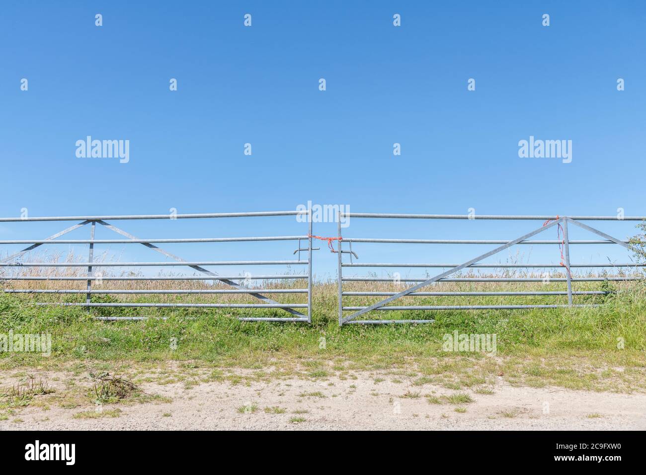 Galvanized steel farm gate across entrance to wheat field in summer sun ...