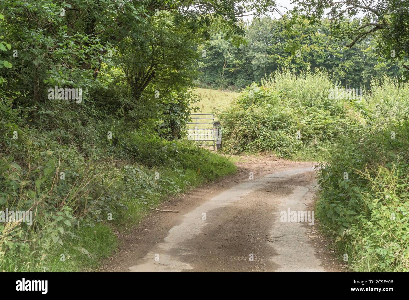 Galvanized metal farm gate at entrance to field, on a bend of a country ...