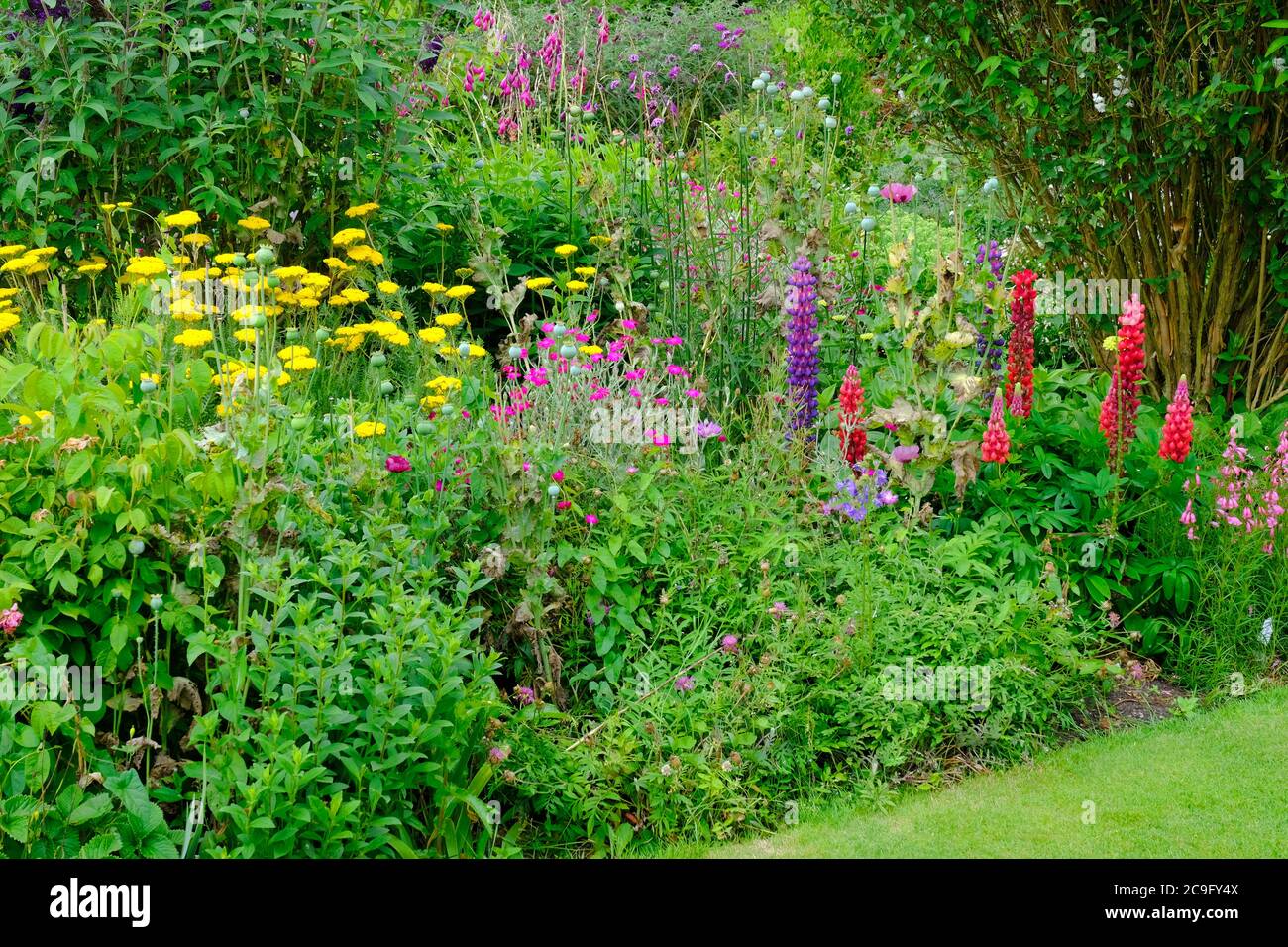 Summer flower border hi-res stock photography and images - Alamy