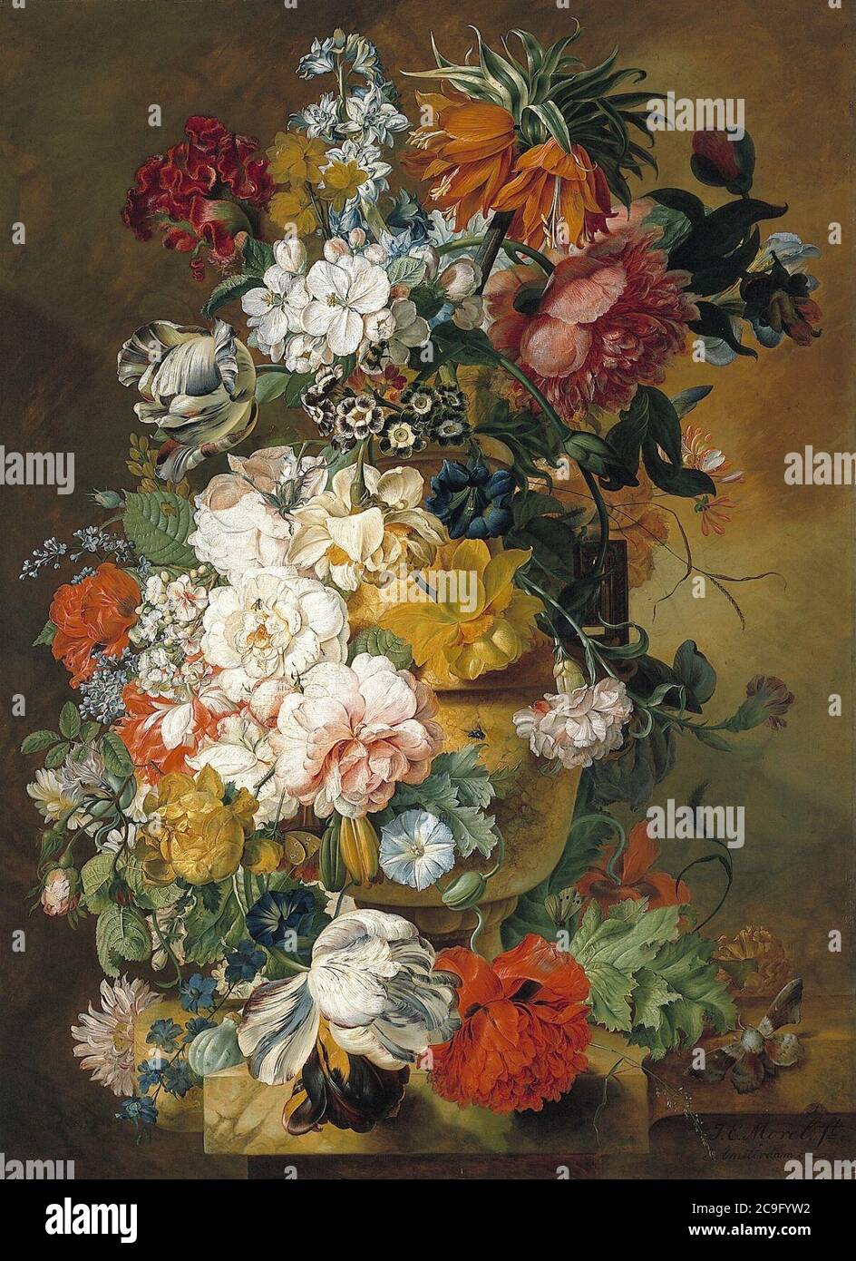 J morel hi-res stock photography and images - Alamy