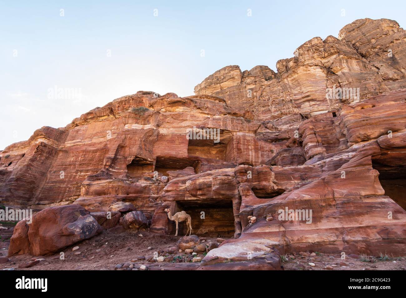 The house of a camel Stock Photo - Alamy