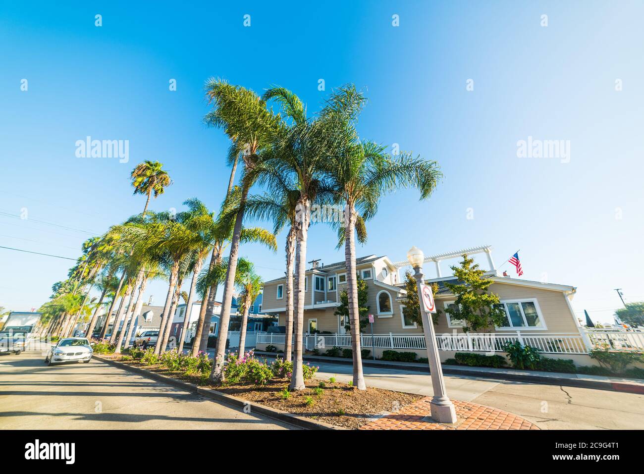 Palm trees in Balboa island under a shining sun. Newport Beach, Orange ...