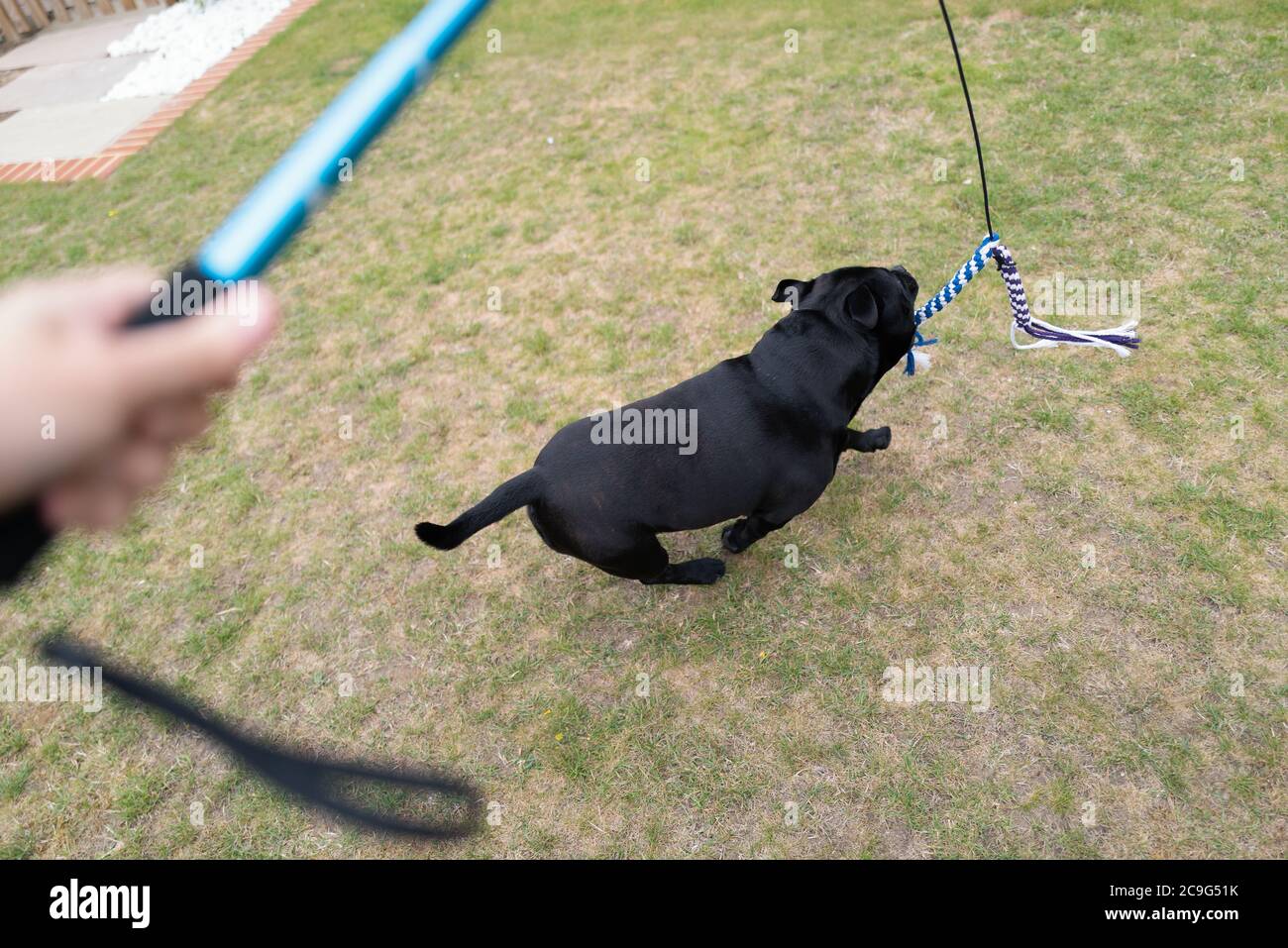 Flirt pole hi-res stock photography and images - Alamy