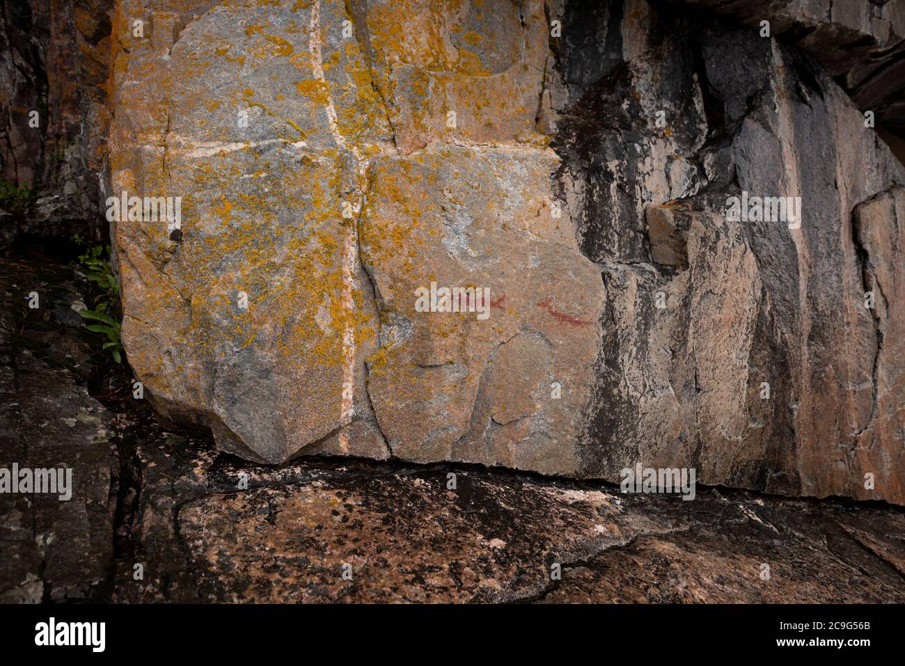 A fish and a mythical creature painted by First Nations peoples on ...