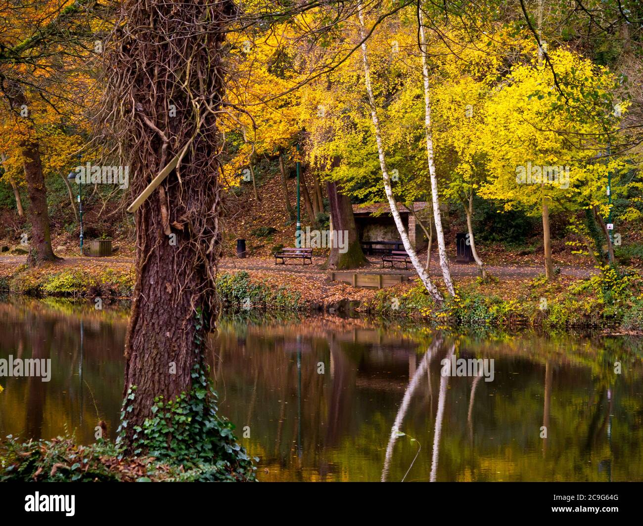 Autumn trees beside the River Derwent in the village of Matlock Bath in ...