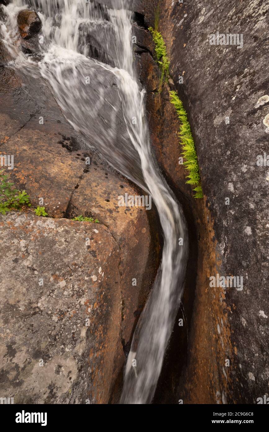 A stream had worn a curvy channel through bedrock on its way down to a ...