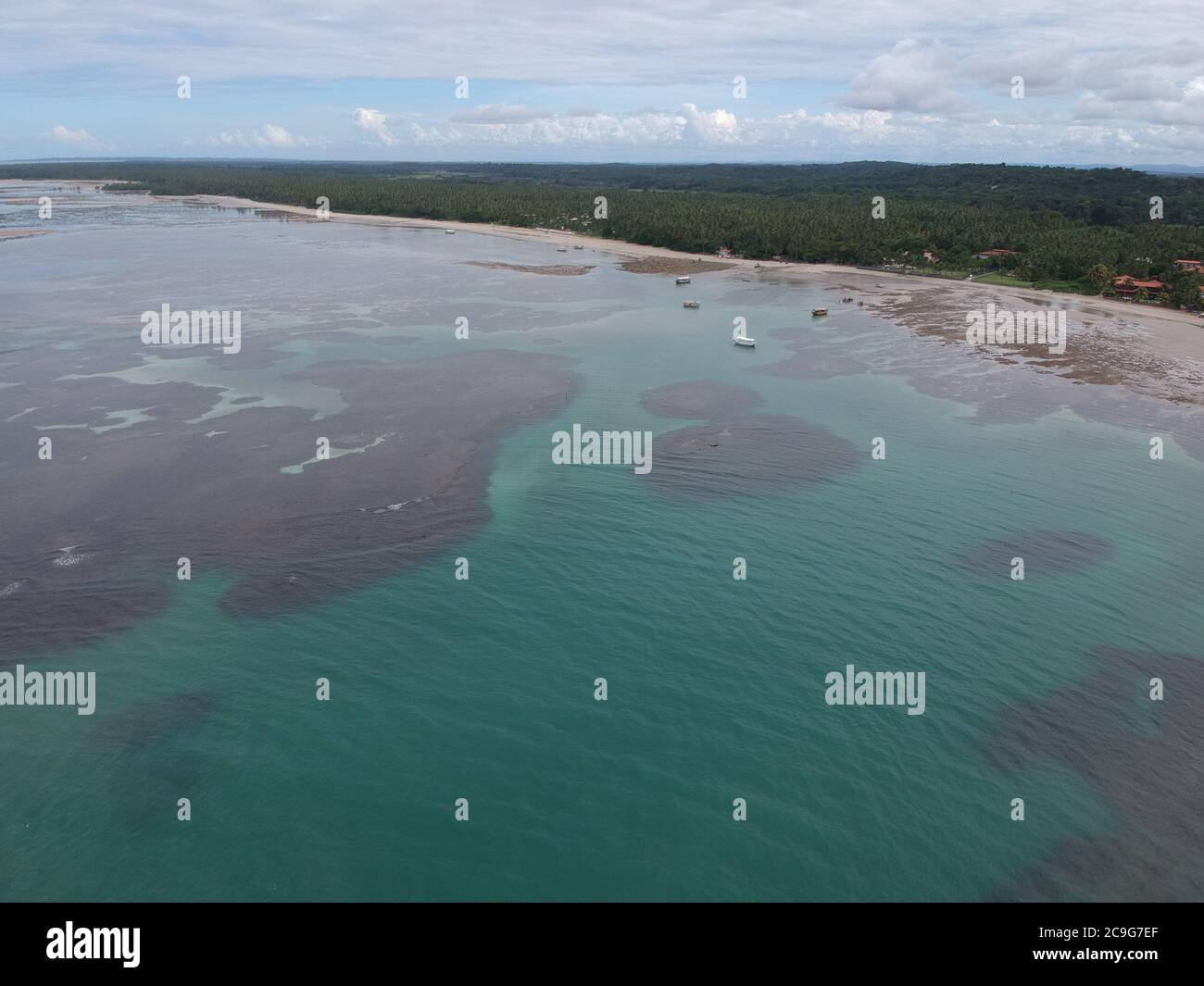 Coral coast brazil hi-res stock photography and images - Alamy