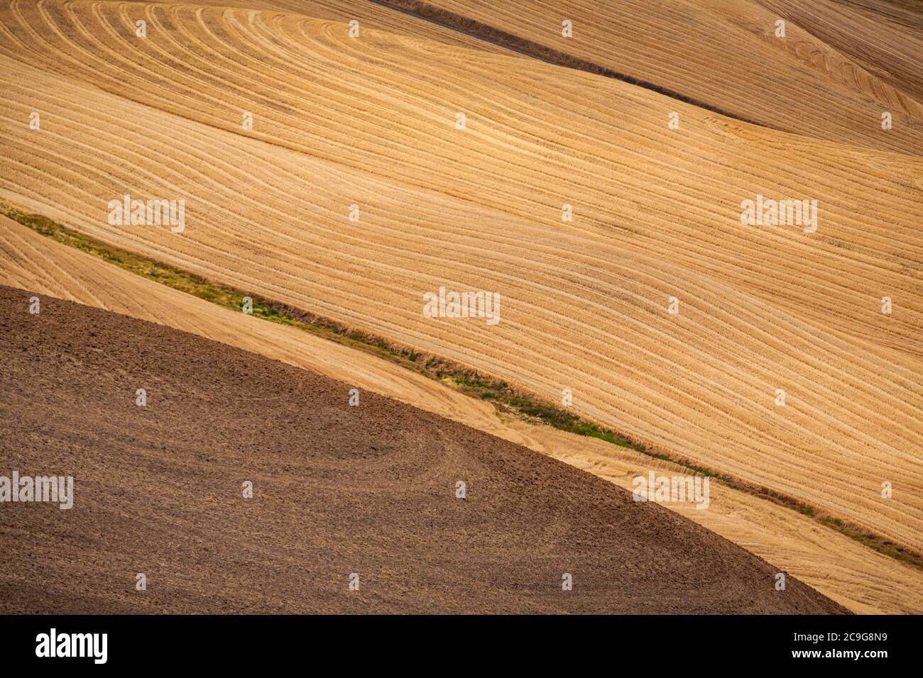 Undulating farmland in the Palouse region of Washington State USA Stock ...