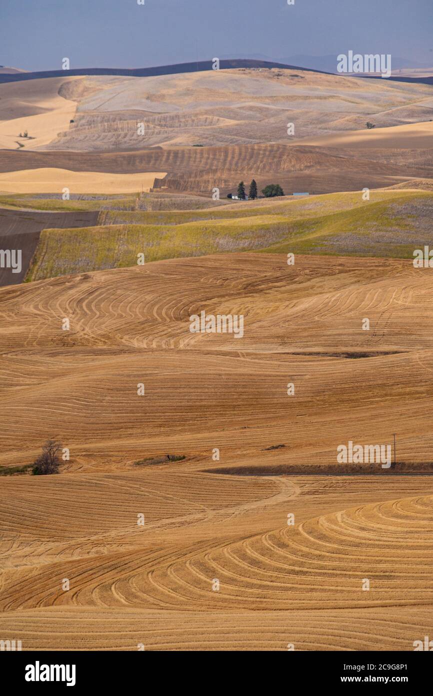 Undulating hillside hi-res stock photography and images - Alamy