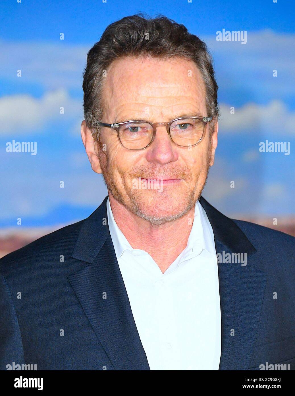 Bryan Cranston Walter White Mask