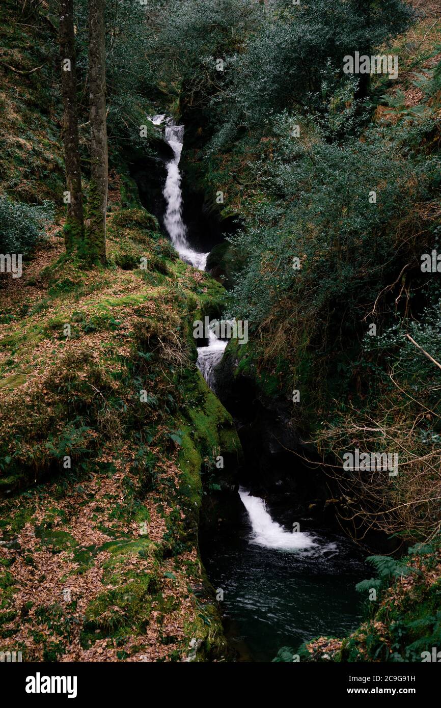 Rushes ireland hi-res stock photography and images - Alamy