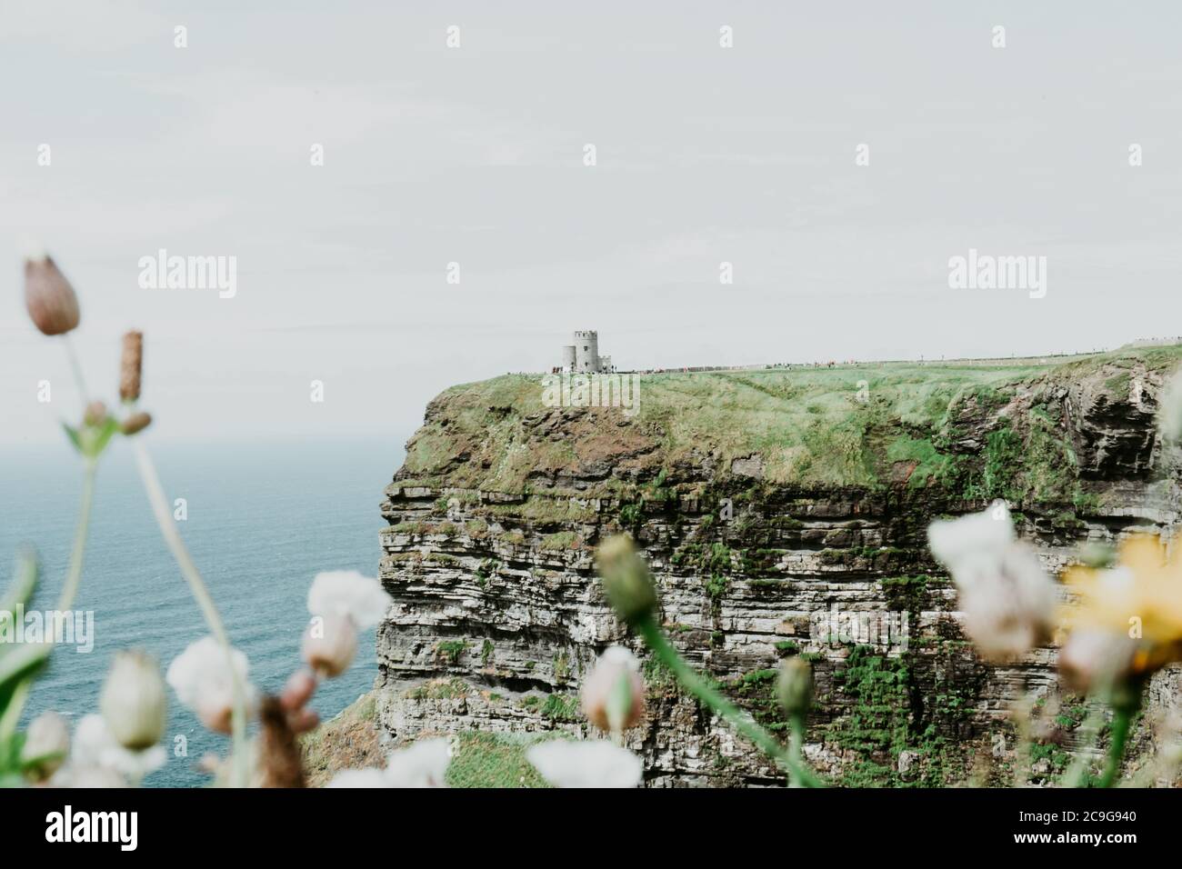 Cliffside on the Cliffs of Moher overlooking O'briens tower in Ireland ...