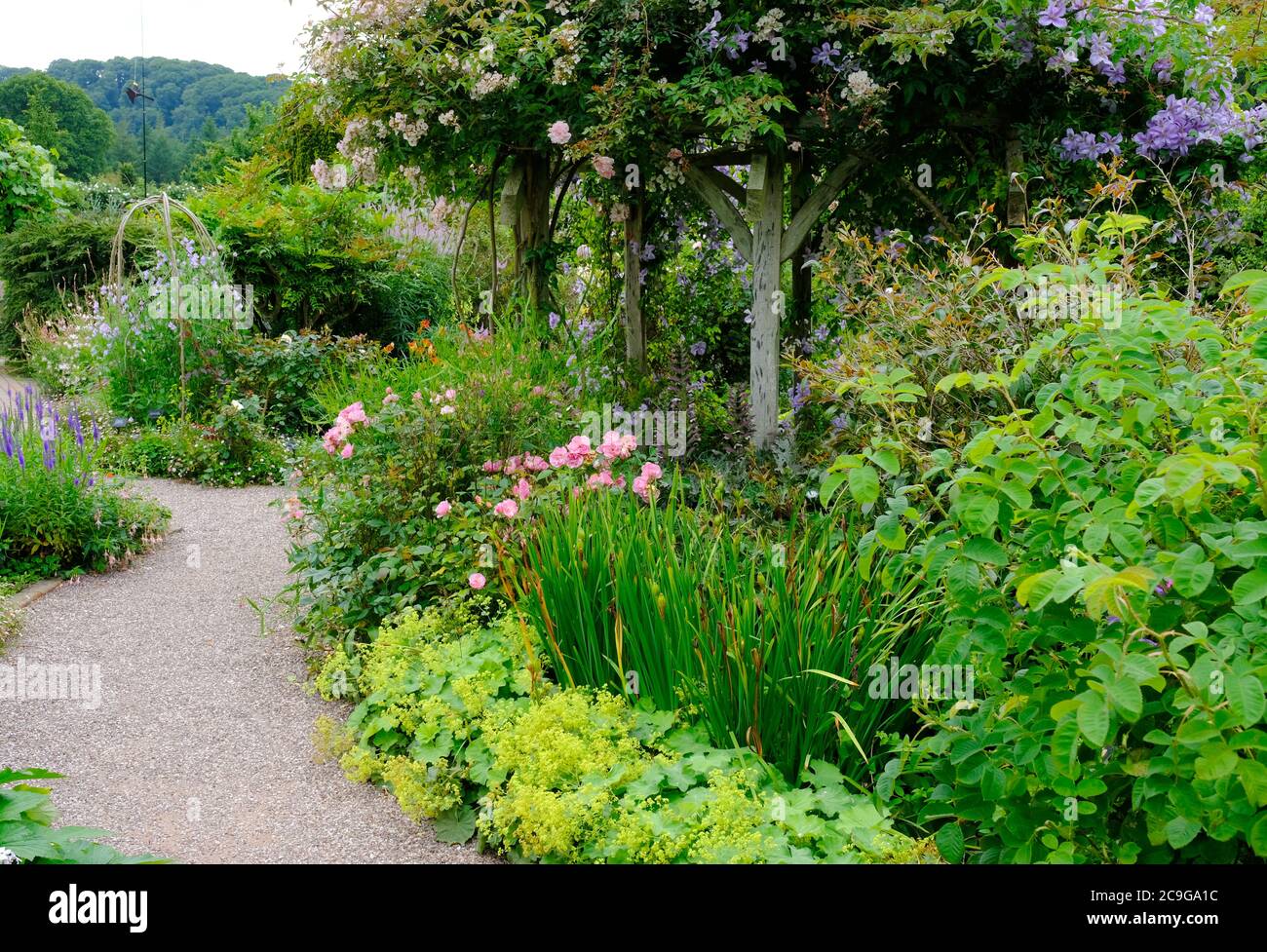 Lush English flower border and an old wooden trellis with roses and ...