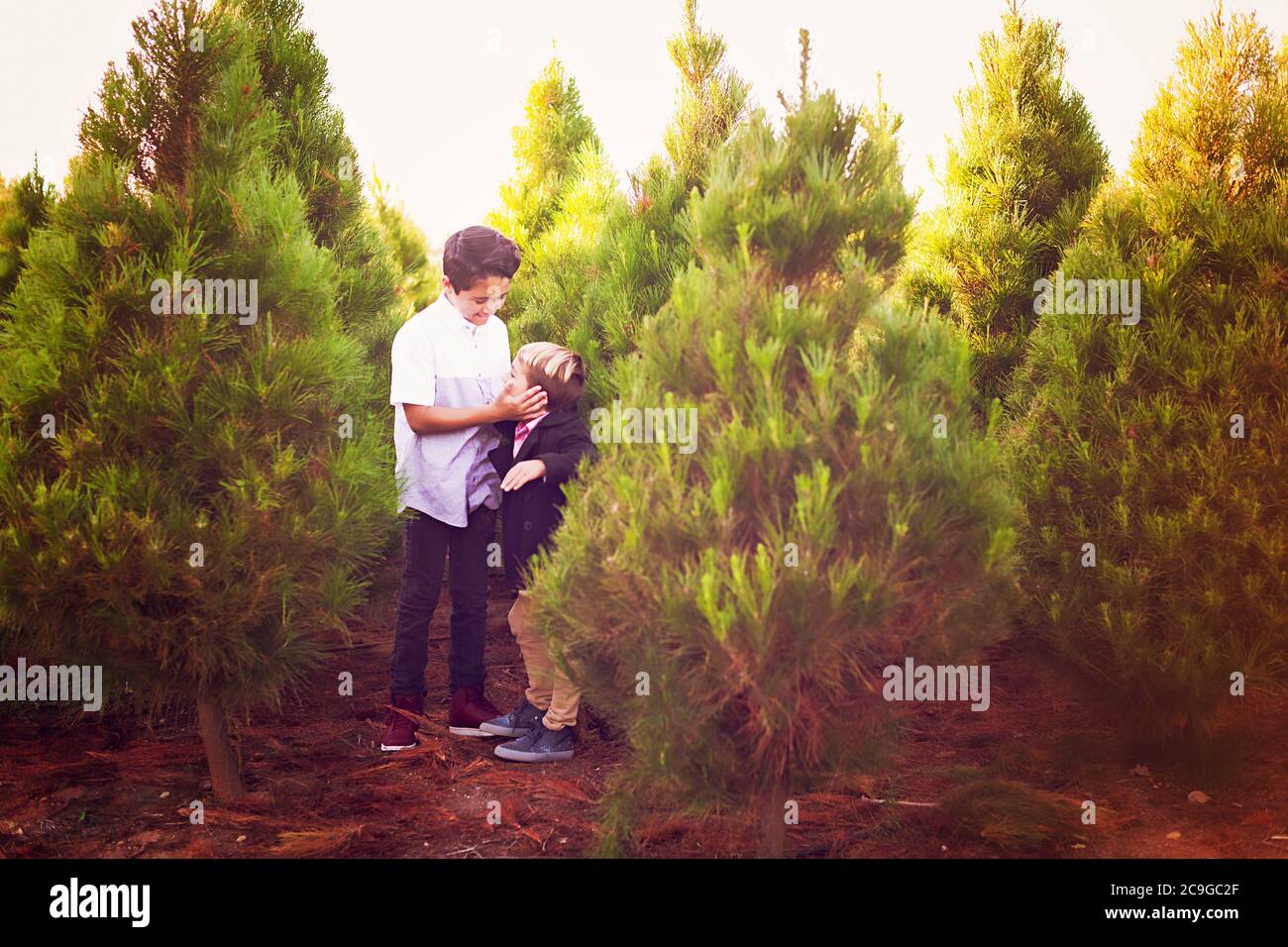 Two boys talking teen not girl hi-res stock photography and images - Alamy