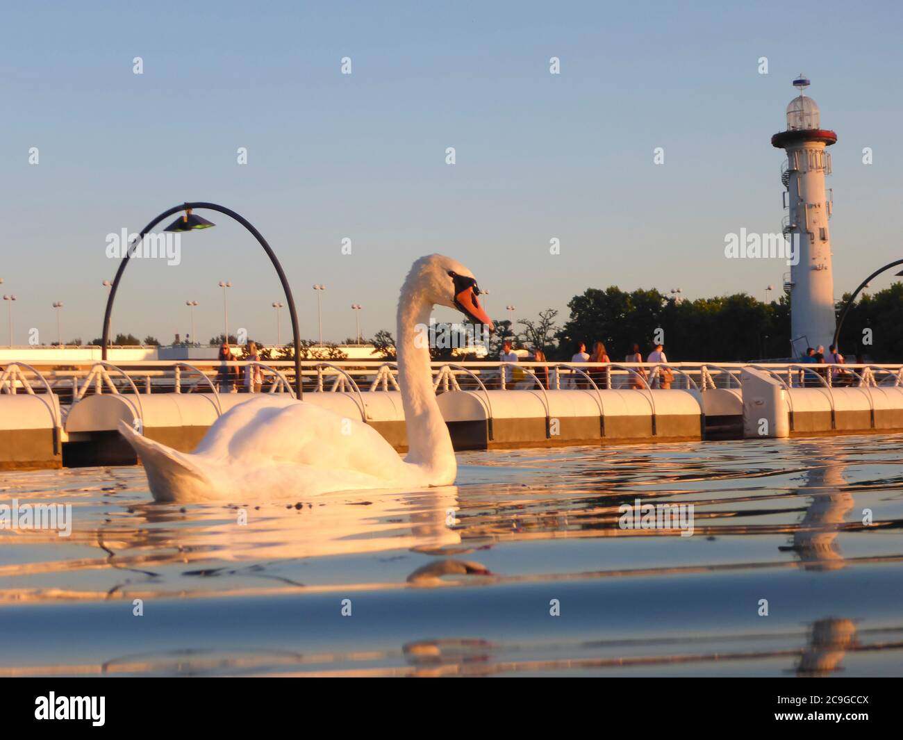Wien, Vienna: river Neue Donau (New Danube), floating bridge Ponte ...