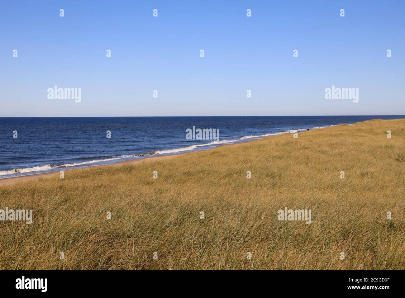 Landscape at the beach of Sylt, Germany, Europe Stock Photo - Alamy