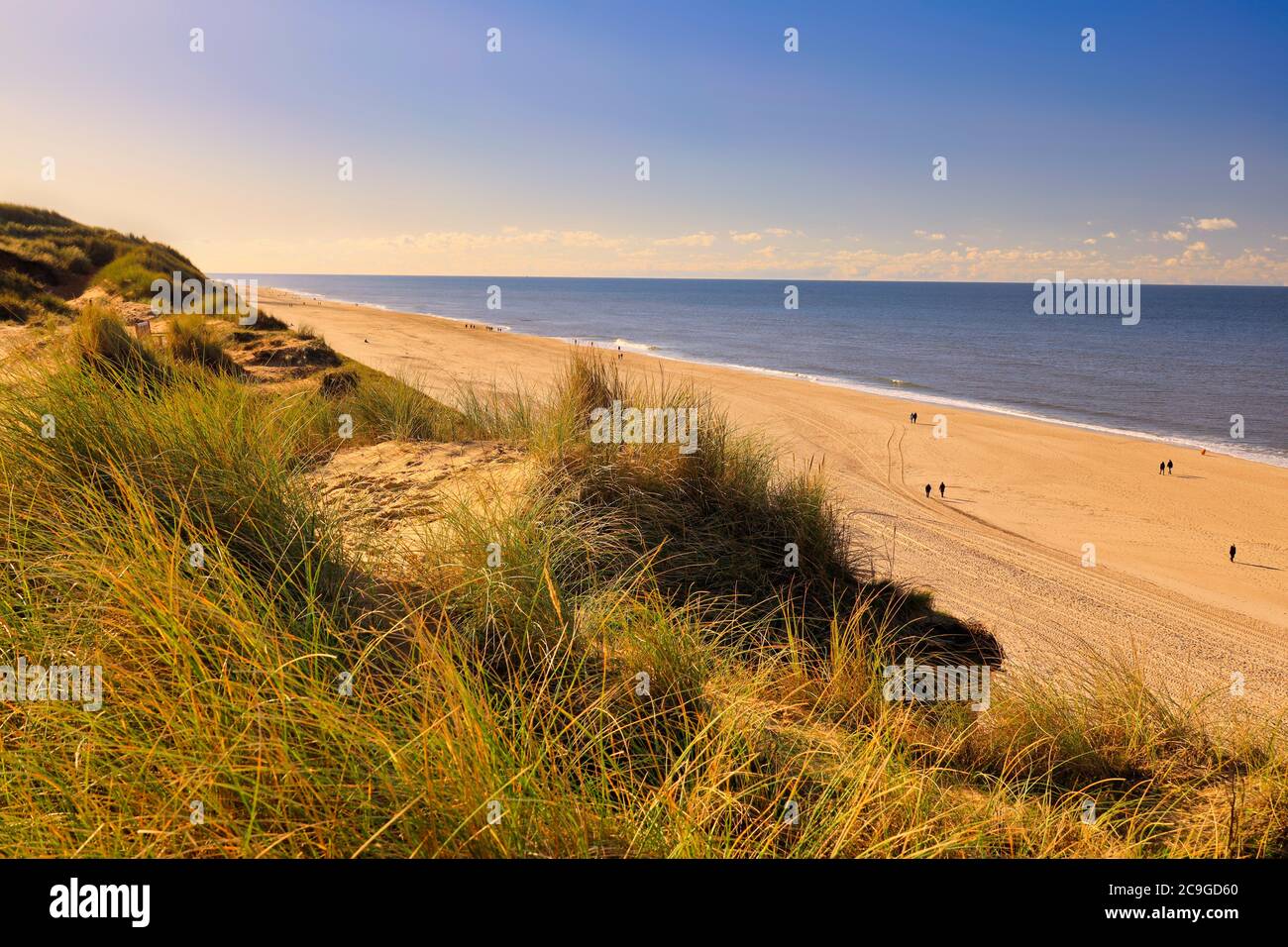 Landscape at the beach of Sylt, Germany, Europe Stock Photo - Alamy