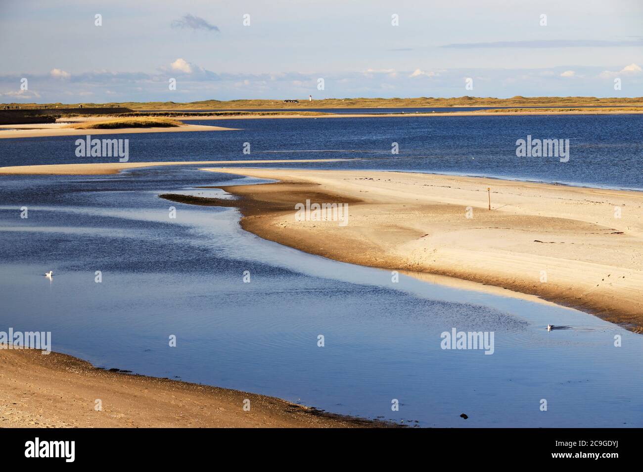 Landscape at the beach of Sylt, Germany, Europe Stock Photo - Alamy