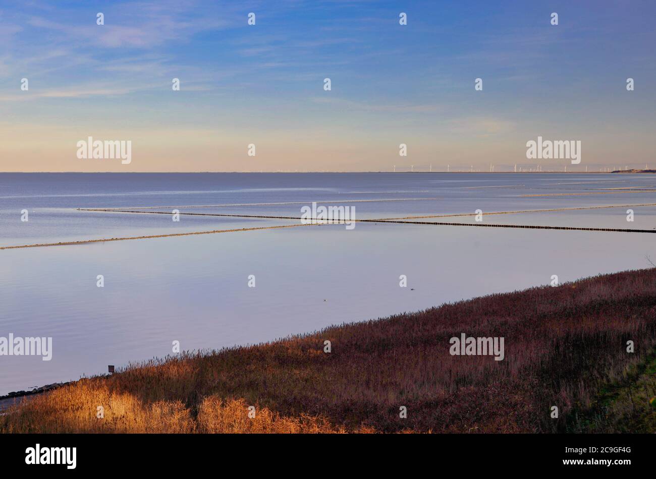 Landscape at the beach of Sylt, Germany, Europe Stock Photo - Alamy