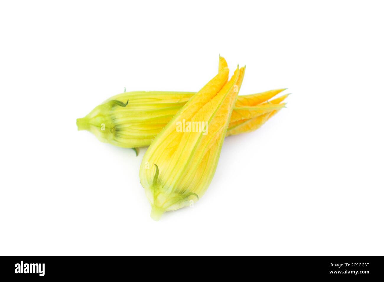 Yellow pumpkin and zucchini flowers isolated on white background. Top ...