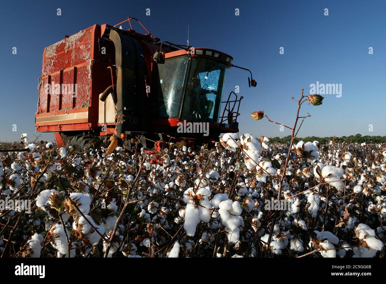 Cotton harvester machine hi-res stock photography and images - Alamy