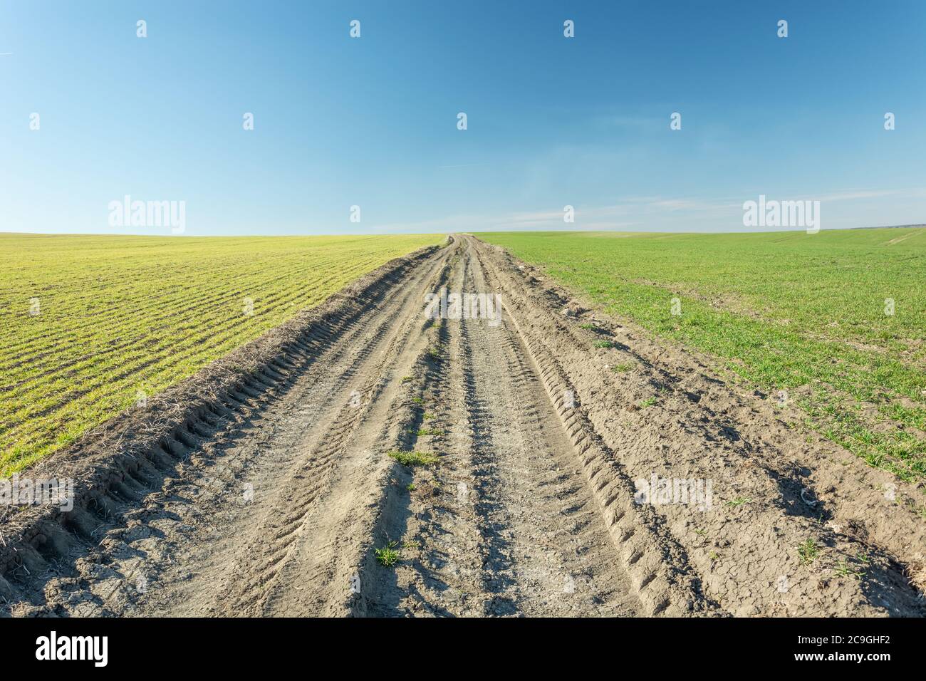 Agricultural tractor wheel marks on dirt road, fields, horizon and blue ...
